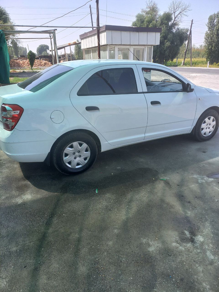 Cobalt  2 Paditsa