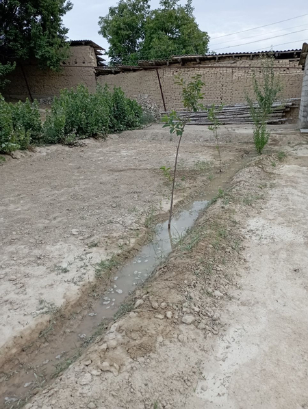 450-500 kv.m yer maydoni sotiladi