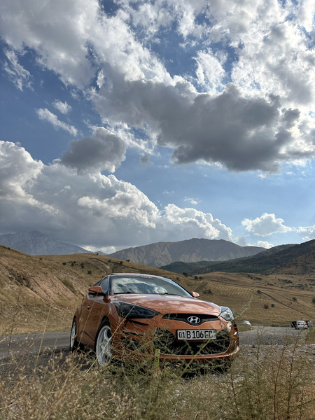 Hyundai veloster