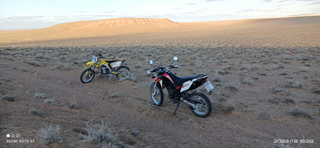 Suzuki RMZ 450 Kross