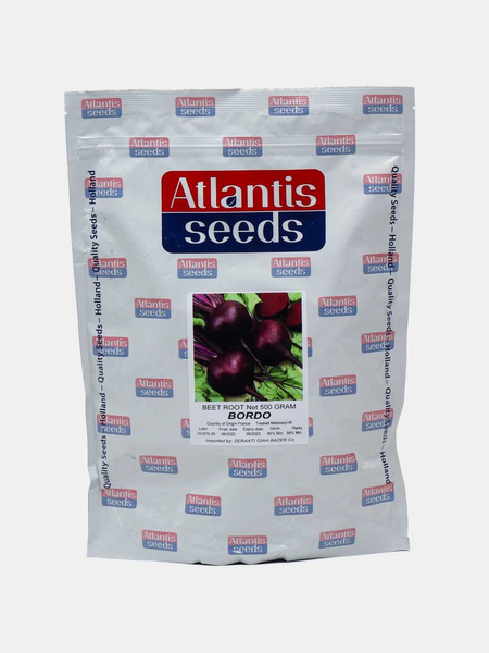 Qizil lavlagi urug'lari Bordo navi Atlantis seeds