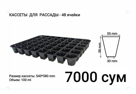 Корейский Қулупнай кўчатлари, Рассада Корейской клубники