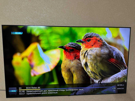 телевизор SAMSUNG 85\\\