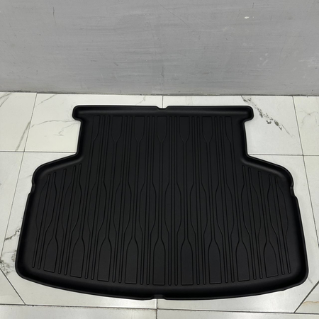 Byd Gac Aion uchun bagaj polik