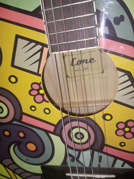 Akustik gitara4050
