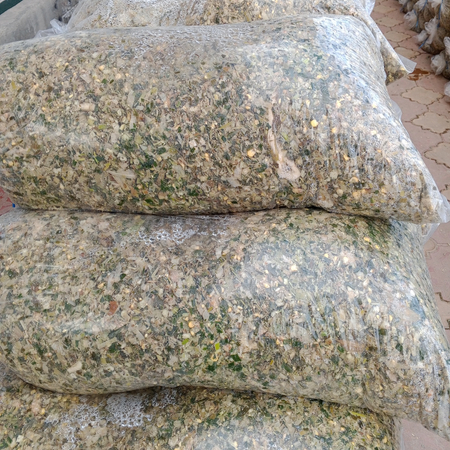 Silos sotiladi pishgan donli