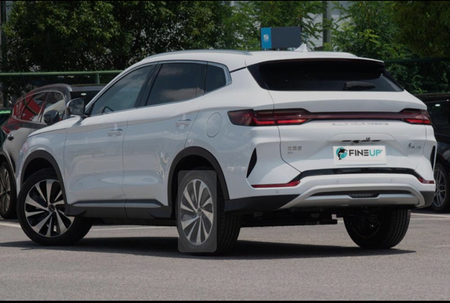 BYD chempioni 605