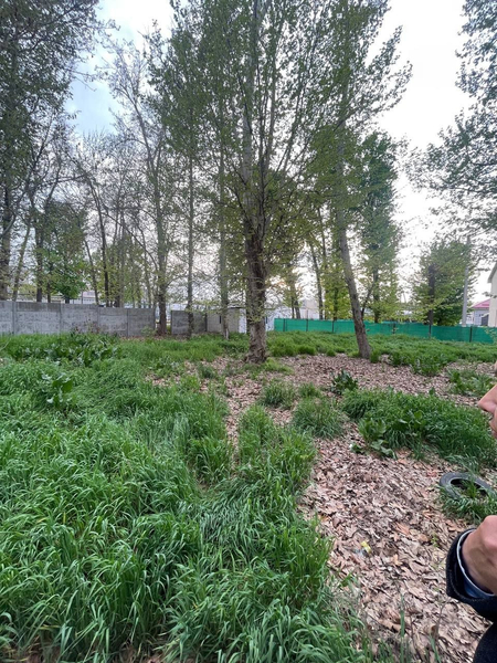 Курук ер нотурар