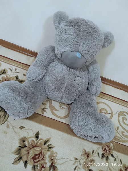 Tedy ayiqcha kattasi