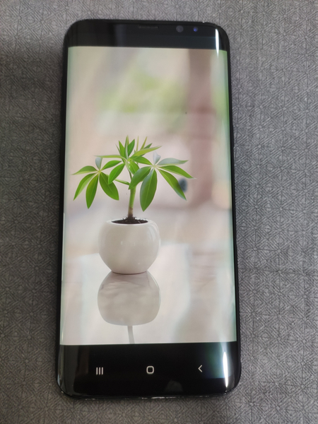 Samsung Galaxy S8+