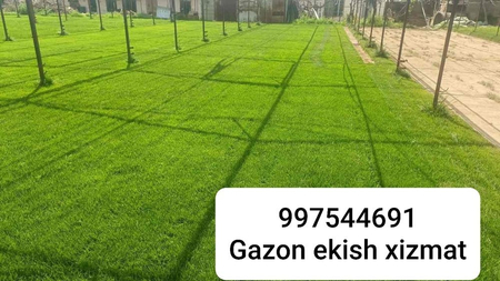 Gazon ekish xizmati