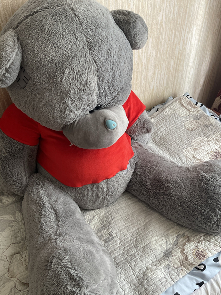 Мишка Teddy