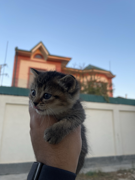 Продается