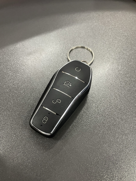 BYD pult Yuan  Tankg xan