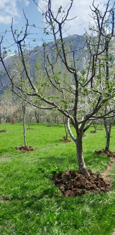 Bo'stonliq tumani Tepar qishlog'ida 15 sotix yer sotiladi Nefret yoli