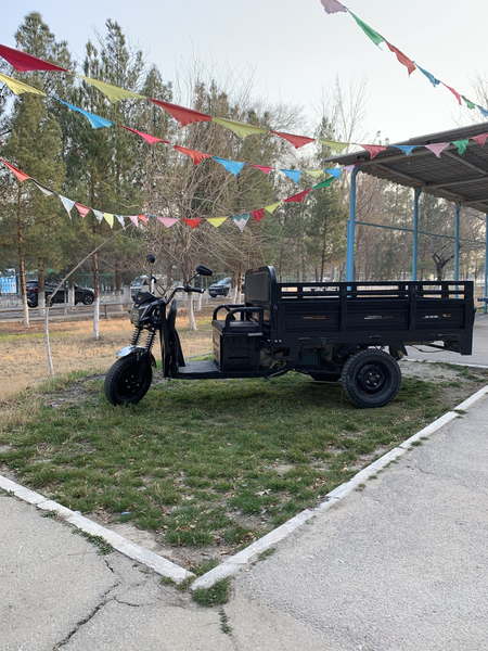 Продается Муравей