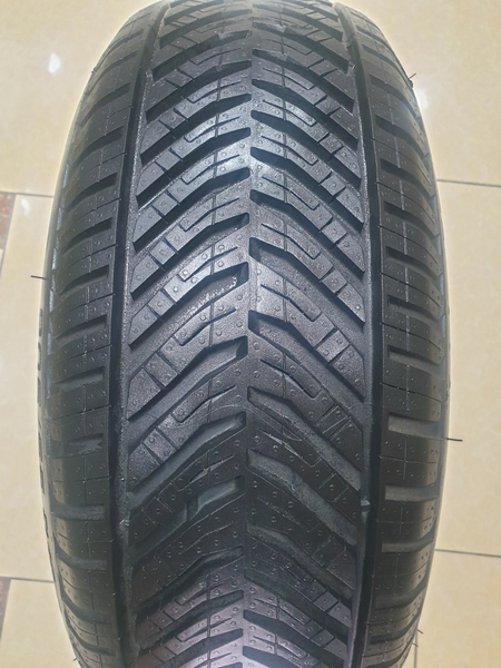 Tigar 185/65R14 Yevropa Riken Taurus sifati zo'r