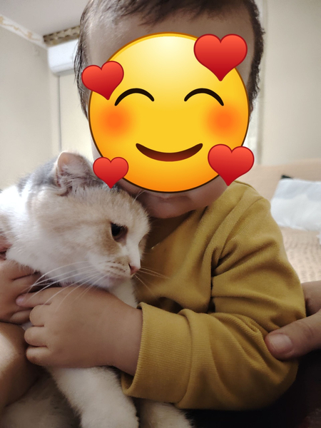 Шатланский 3 цветный мрамр