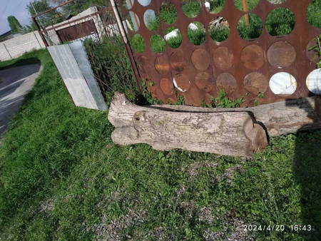 Дерево для мебели из благородной древесины