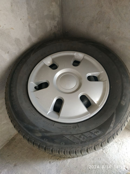 Damas uchun 12 razmerda Rotalla balon sotiladi