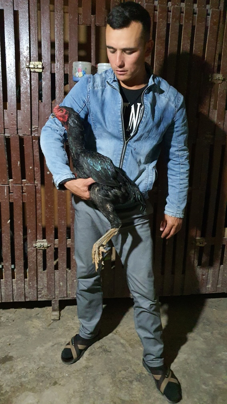 Juja sotiladi aprel kilosi 4 kg