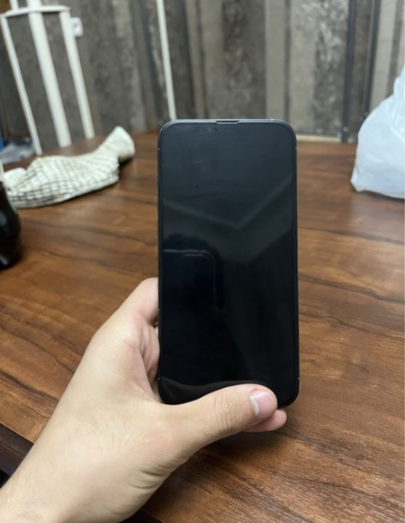 iPhone 13pro max