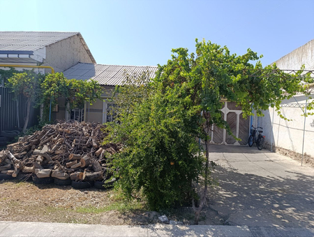 Hovli sotiladi 6 sotix
