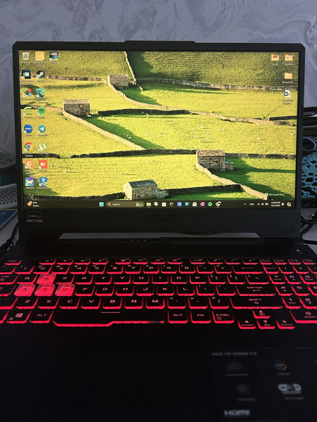 Asus tuf gaming f 15, Nvidia Geforce GTX 1650