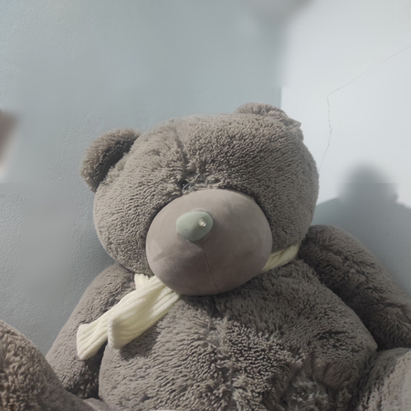 Teddy ayiq kottasi sotiladi xolati yengi tutilmagan