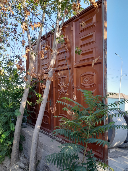 Darvoza holat zor