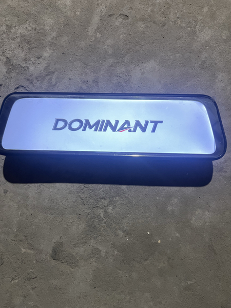 Vidyo registrator Daminat