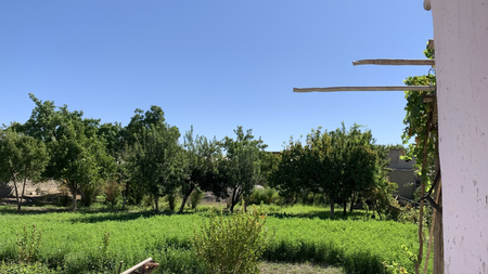 Hovli yoki yer sotiladi