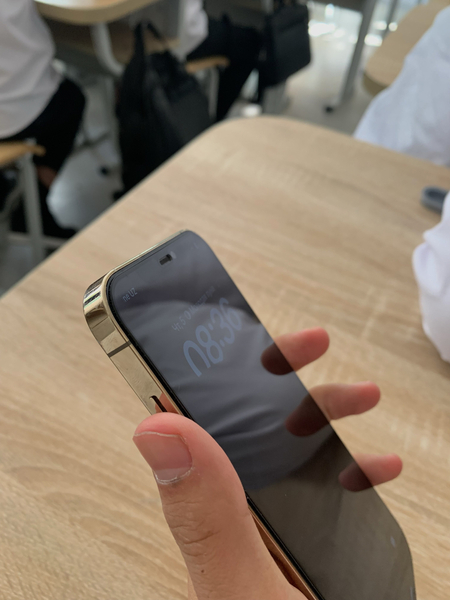 iphone 12 Pro Max 128Gb