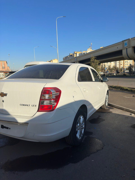 COBALT OQ 2024 yılı