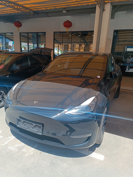 Tesla model Y yurgan probeg