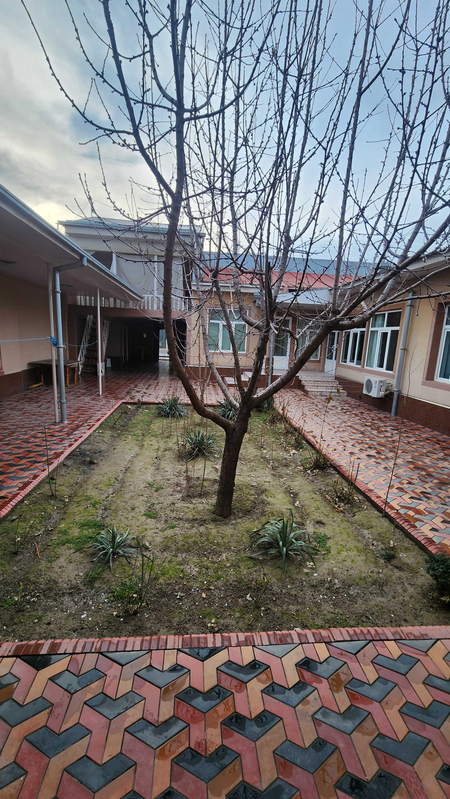Archa kochada 4 sotix uchaska sotiladi