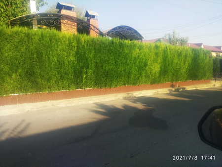Арчадан забор экамиз