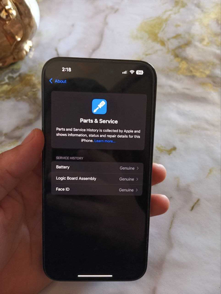 IPhone 14 Pro Max |  1 TB  |  100%