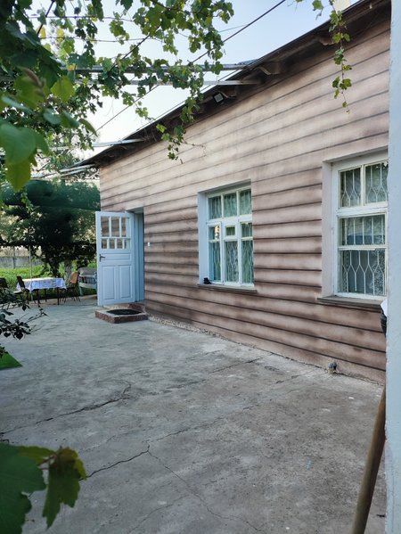 Сдаём реально природную дачу