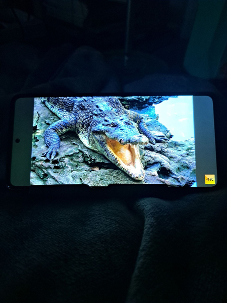 Samsung Galaxy a53 5g