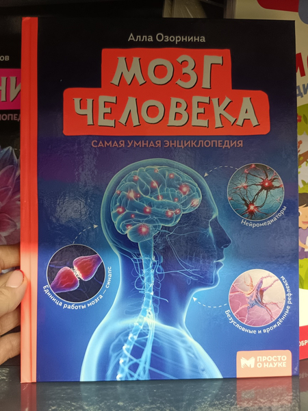 Энциклопедия для детей Феникс