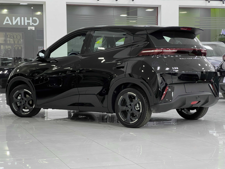 BYD SEAGULL FLY Edition 405KM Full 2024