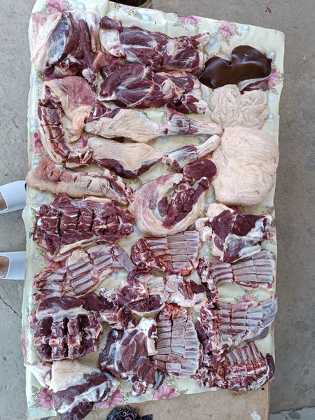 Qo'y qochqorlar sotamiz soyibam beramiz Xasib kallapocha  piwiramiz