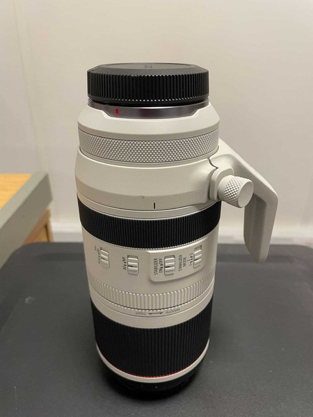 Canon RF 100-500mm F4.5-7.1 L IS USM