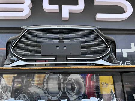 byd champion song DMI