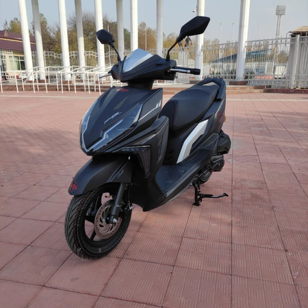 Wasat Sport Fighter ZR