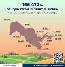e-auksion.uz va e-auksionshop.uz saytlarida xizmatlarni taklif qilamiz