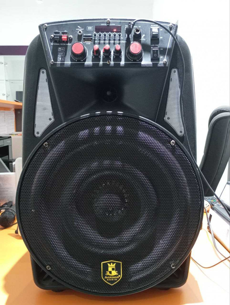 Колонка  Avcrowns CH-8613