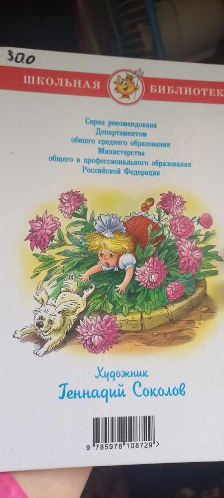 Книга внеклассное чтение