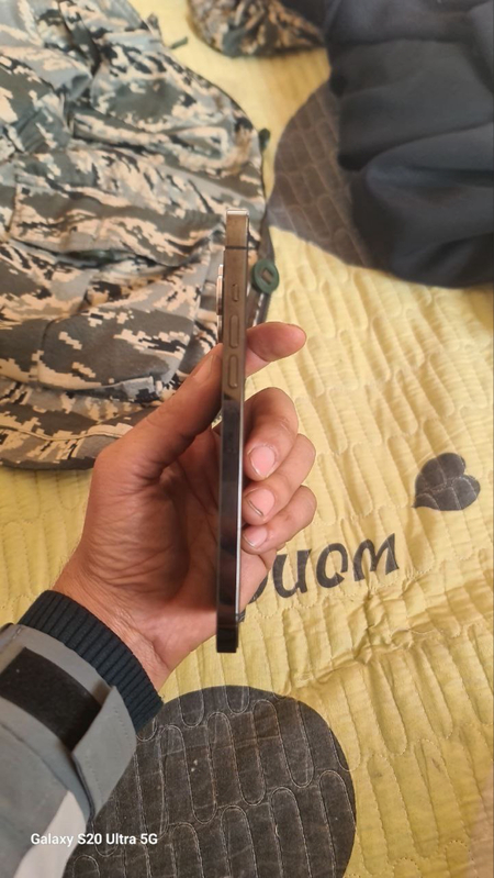iPhone 13 про мах